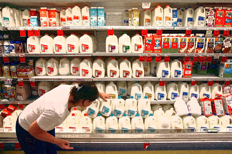 Drink store bought milk? Well check this out - Cookies and Cowpies ...