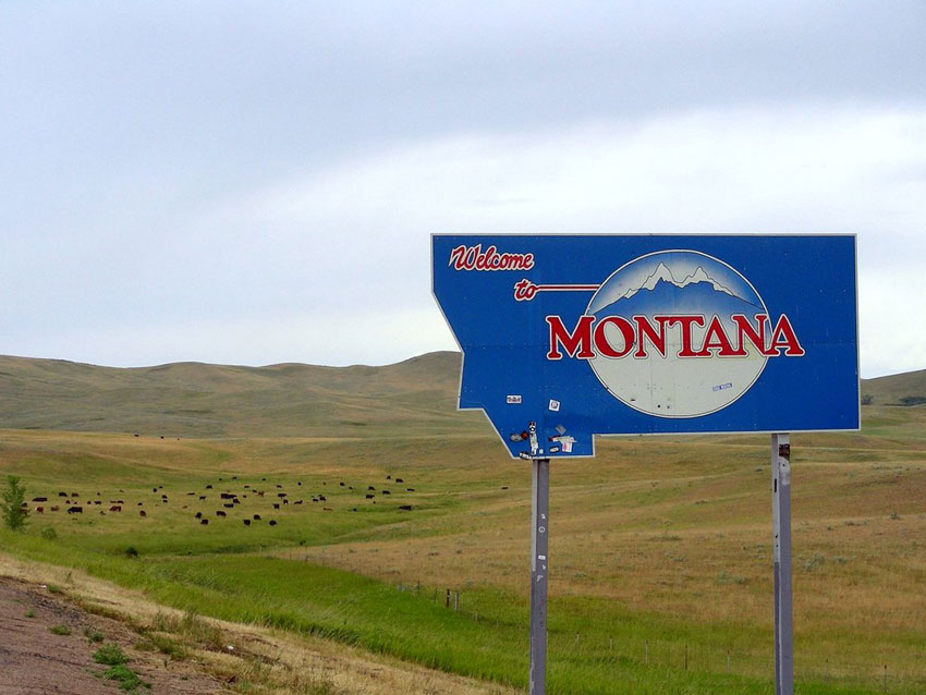 18 to 4 to 54 to 56 to 2 (Montana License Plates) - Cookies and Cowpies ...