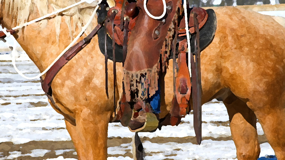 Chaps: the icon of cowboy culture - Cookies and Cowpies - Great Falls ...